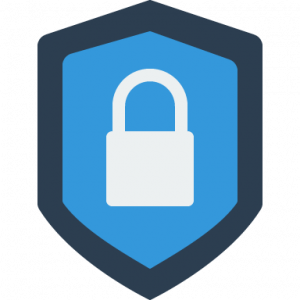 Critical Path Security – About Us